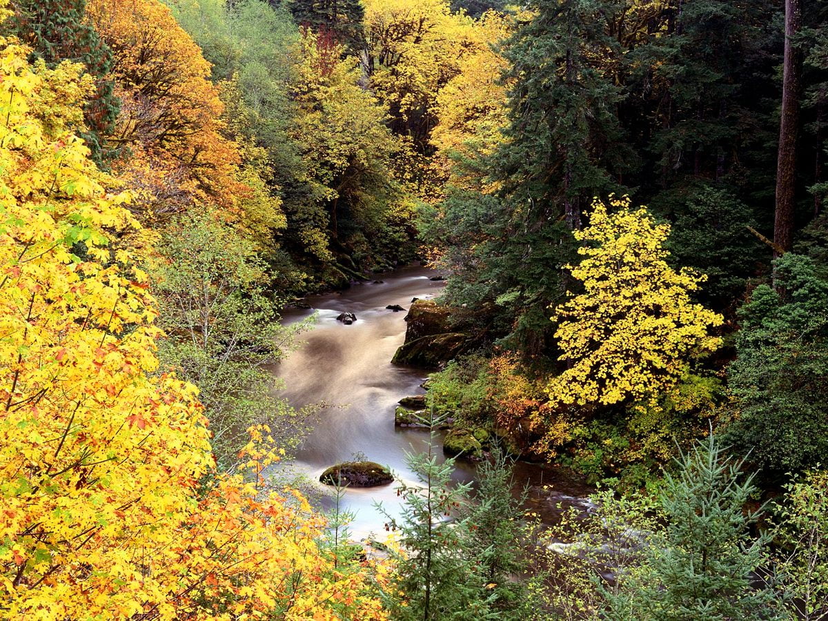 Imagem de fundo Paisagem De Outono, Natureza, Comboio | Baixar Grátis
