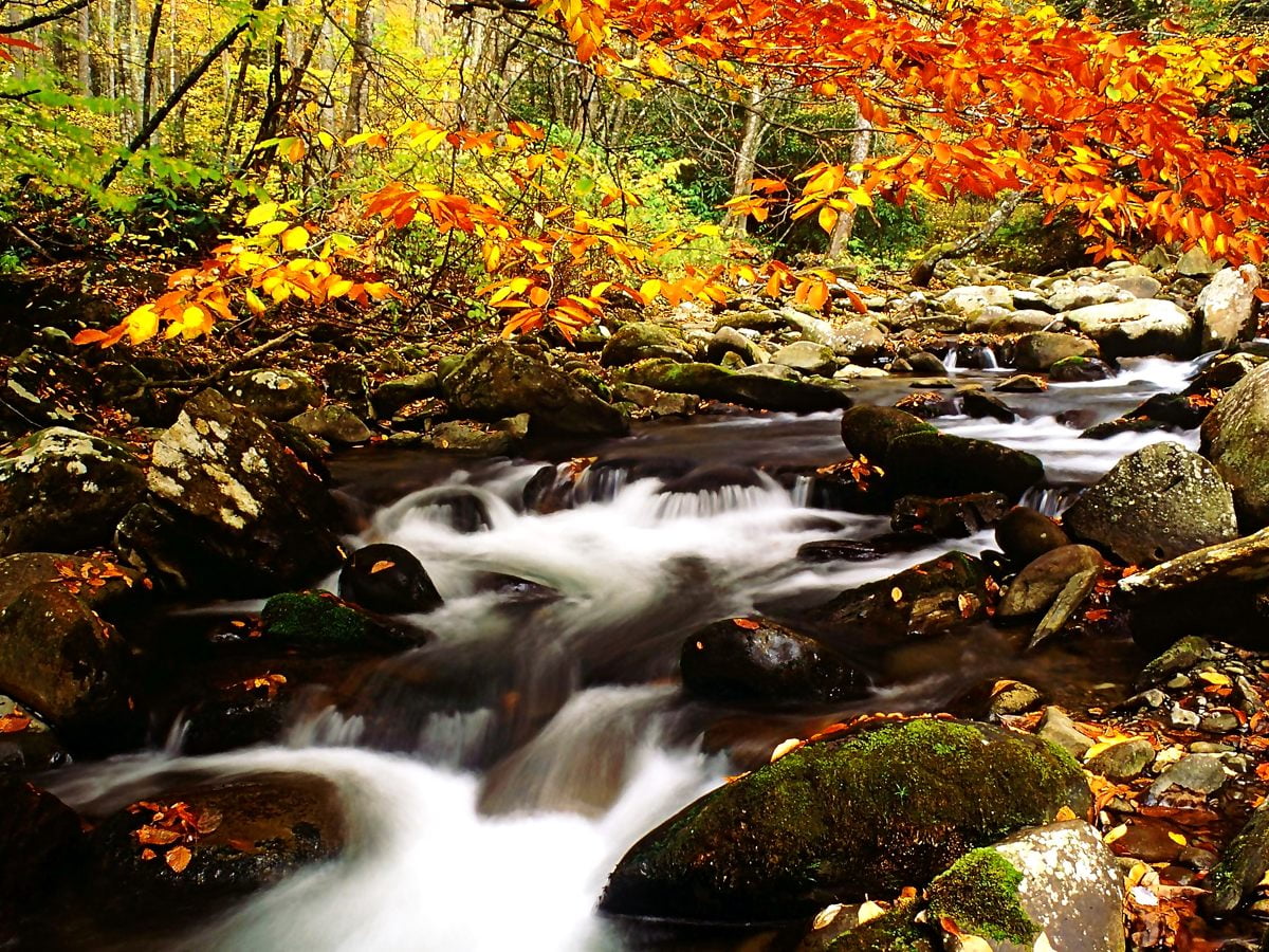 100+ Imagens de fundo Stream | Imagens Gratuitas