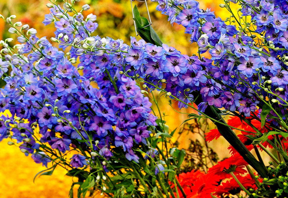 Tela de fundo Flores, Mosaico De Flores, Rosa | Download Grátis