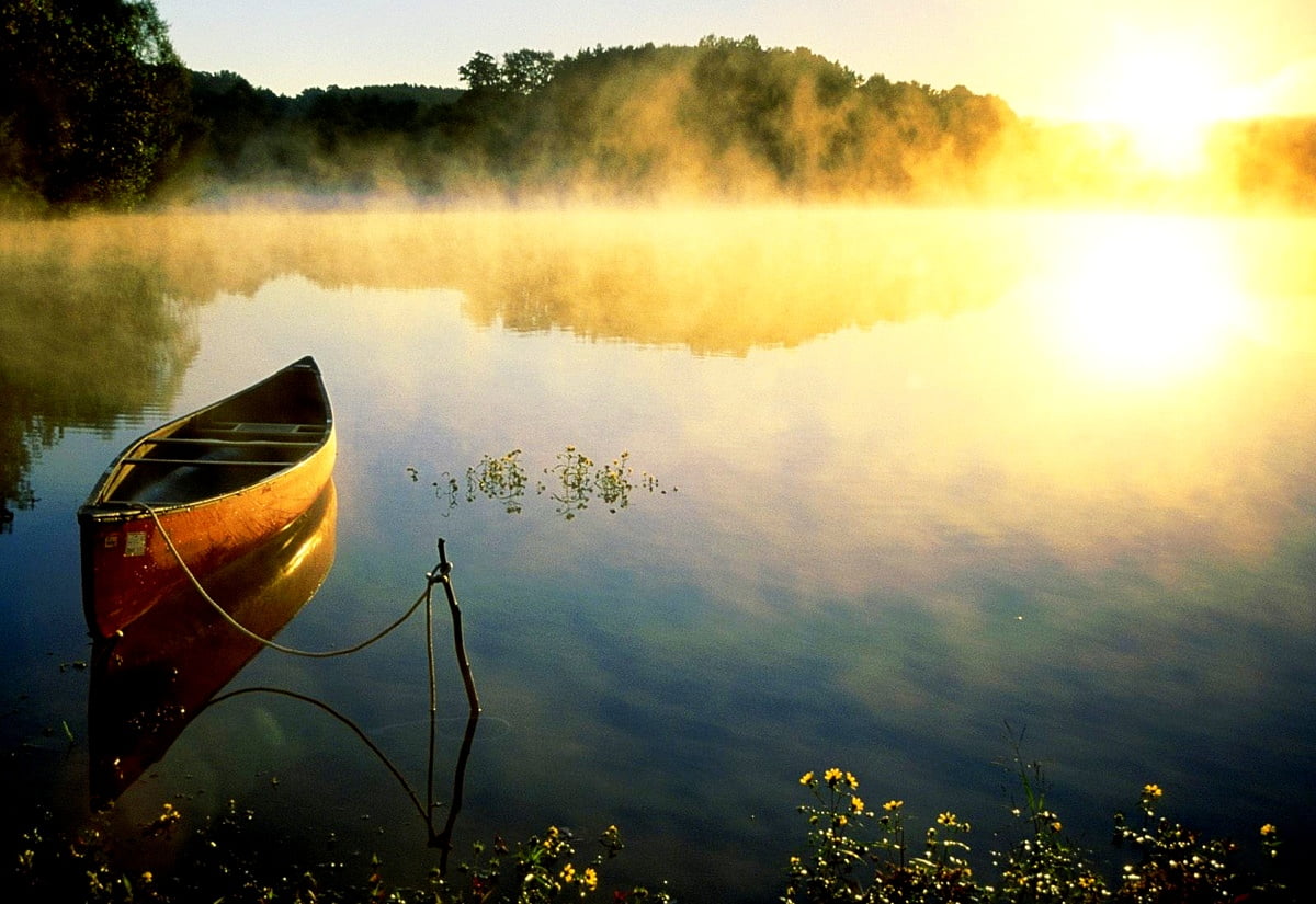 490+ Imagens de fundo Sol | Imagens Gratuitas