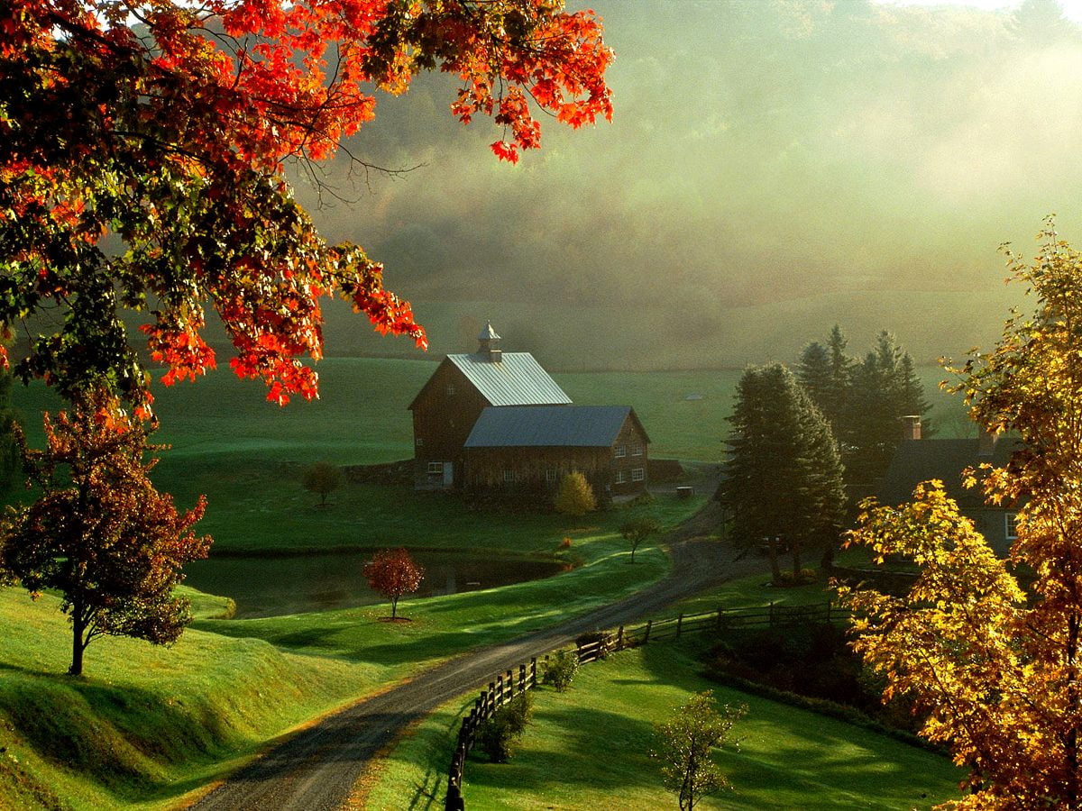 Fundo de imagem Paisagem De Outono, Natureza, Outono | Download Grátis