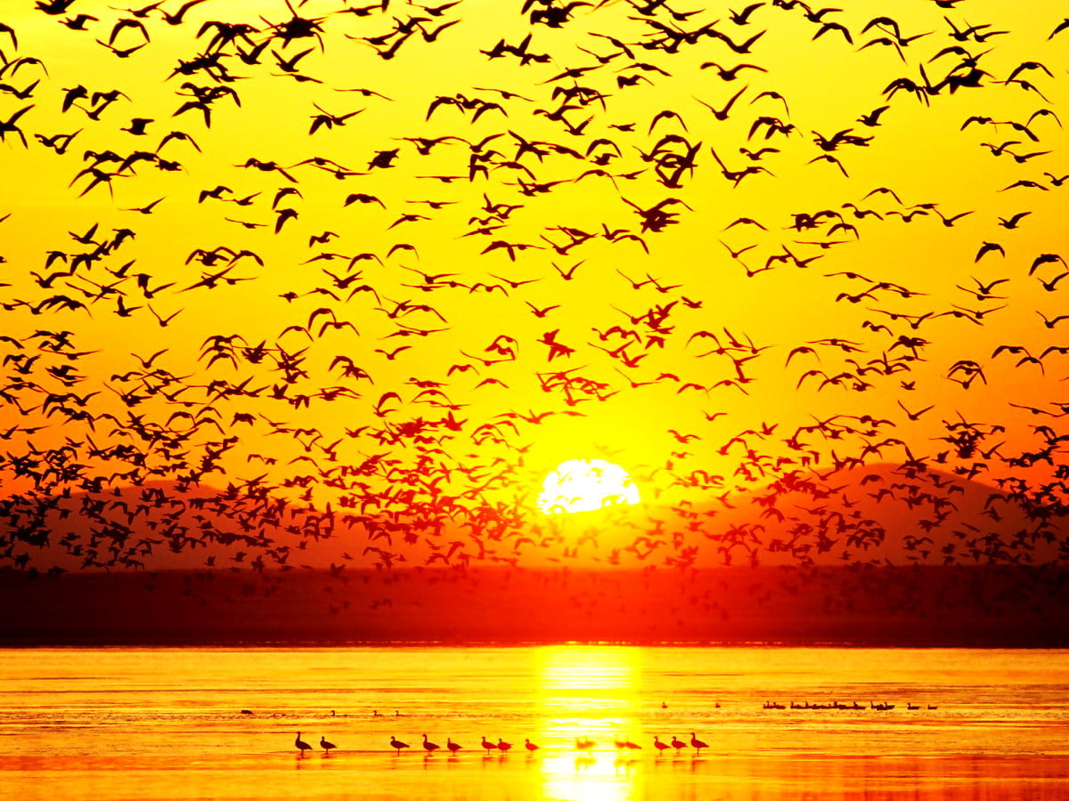 490+ Imagens de fundo Sol 🔥 Imagens Gratuitas