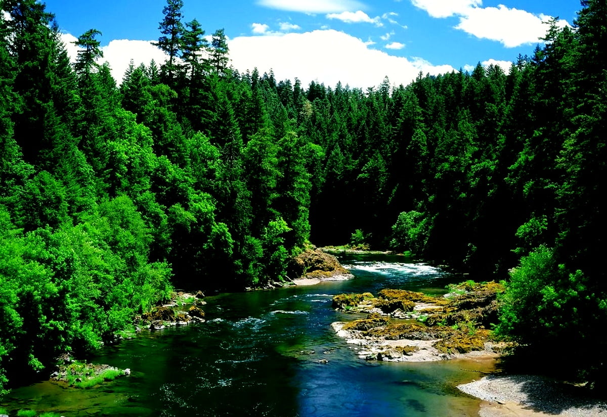 Imagem de papel de parede Natureza, Rio, Montanhas | Baixar Grátis