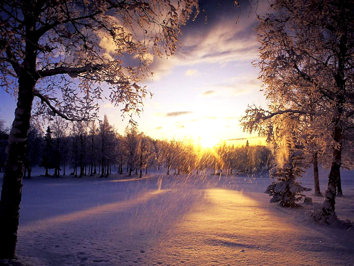 320+ Imagens de fundo Inverno 🔥 Imagens Gratuitas