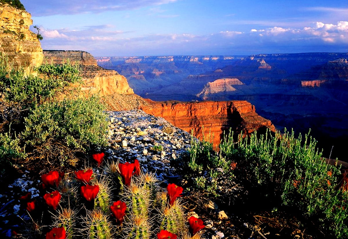 90+ Imagens de fundo Parque Nacional | Imagens Gratuitas