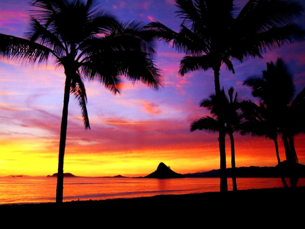 Papel De Parede Incrivel Da Paisagem Do Por Do Sol